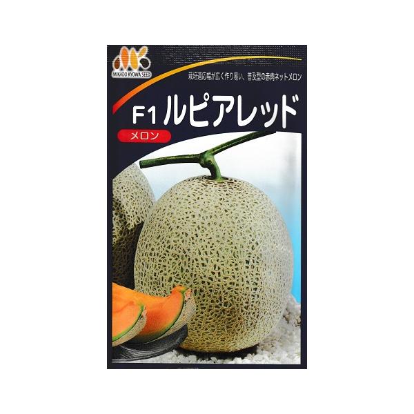「ルピアレッド」は、作りやすい赤肉ネットメロンの代表格の種です。地這いでも立てて作っても大丈夫で、春作と秋作ができます。（一般的に地這栽培が多いようです。）味はやや高級感があってすごく美味しいです。（メルティング質です。糖度は１５度位になっ...