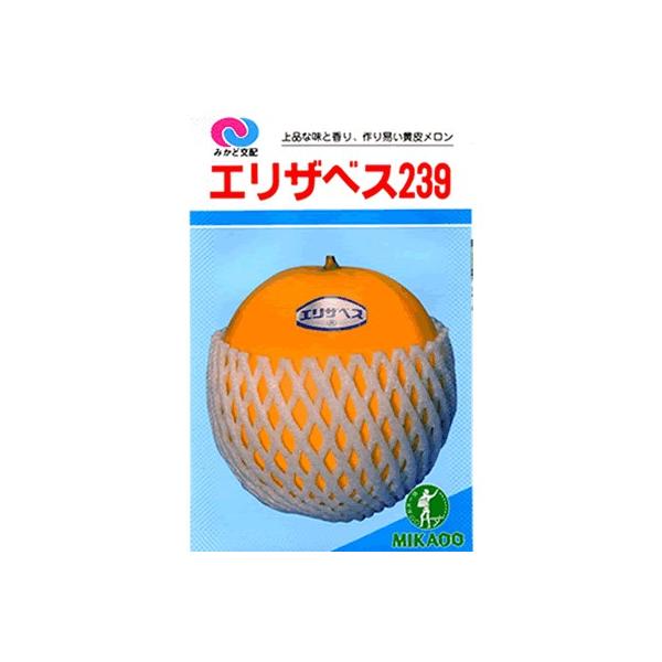 高級感がある味と香りをもつ黄色皮のメロン。約７００gの大きさで作りやすい品種です。発酵果が少なく、輸送性にも優れている農家におすすめの品種です。