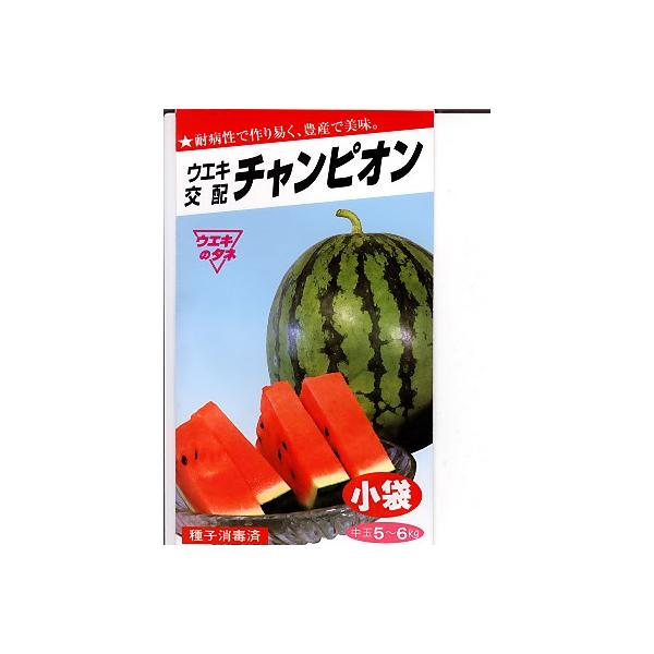 チャンピオンは、非常に作り易い大玉スイカ品種です。　耐病性に優れた品種であり、とても作り易いのが特徴です。　味も美味しく糖度は１２度以上になるといわれています。　しかも連作にも強く接木なしでも栽培が可能な品種です。（極度の連作地では接木して...