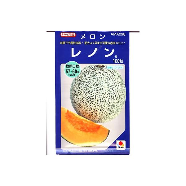 最近人気の赤肉メロンのレノンです。　果肉部分が厚くて、赤肉の色上がりもよいネットメロンです。　種の部分が少なく果肉部が厚いので食べ応えがあり、食味も甘くて美味しいと人気があります。実の秀品率も高くてそろいも良く、見た目も良いのでスーパーや八...