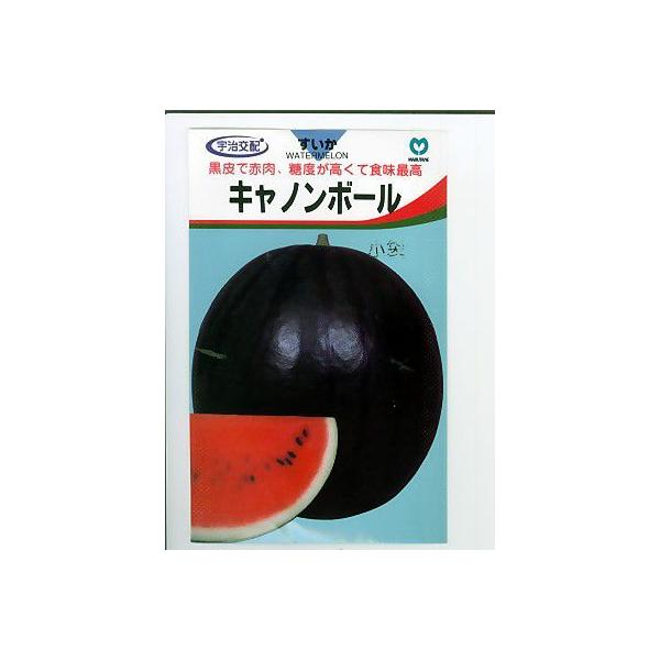 キャノンボールスイカは、純日本系のスイカから作り出されたとても美味しい品種です。純日本系のスイカは最近ですと非常に珍しく貴重だと思います。キャノンボールの特徴は、まずはその美味しさです。糖度が高く、12度以上になると言われています。　13度...