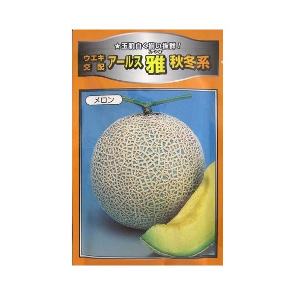 「アールス雅　秋冬系」メロンは、高級感あふれる食味の高級ネットメロン品種です。秋冬作に幅広く栽培できる雅シリーズの高級メロン品種です。糖度は１４度以上で安定しやすく、品のある甘味があります。メロンの外見は、きれいにネットが仕上がり、白のきれ...