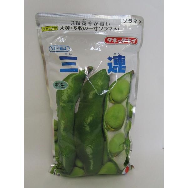 野菜種　そら豆　三連オハグロの色が変わりにくい。種・苗・農業資材品揃え豊富！農家さん御用達のお店　グリーンロフトネモト