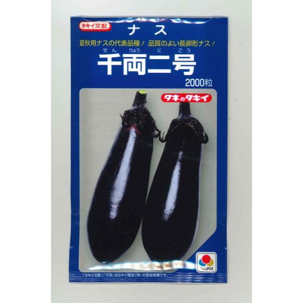 送料無料！野菜種　なす　千両二号果の肥大が早く、長期栽培でも生産が安定して多収。種・苗・農業資材品揃え豊富！農家さん御用達のお店　グリーンロフトネモト