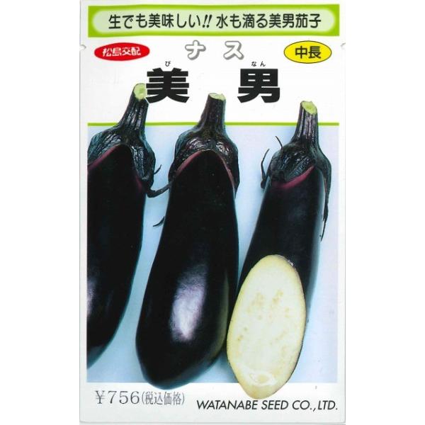 なす  美男　松島交配生でも美味しい！水も滴たる美男ナス！種・苗・農業資材品揃え豊富！農家さん御用達のお店　グリーンロフトネモト