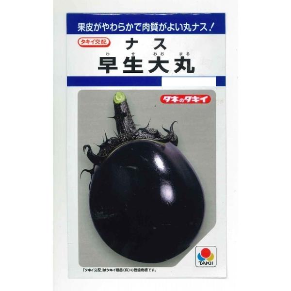 野菜種　なす　早生大丸生育は旺盛で作りやすく、ごく豊産。種・苗・農業資材品揃え豊富！農家さん御用達のお店　グリーンロフトネモト