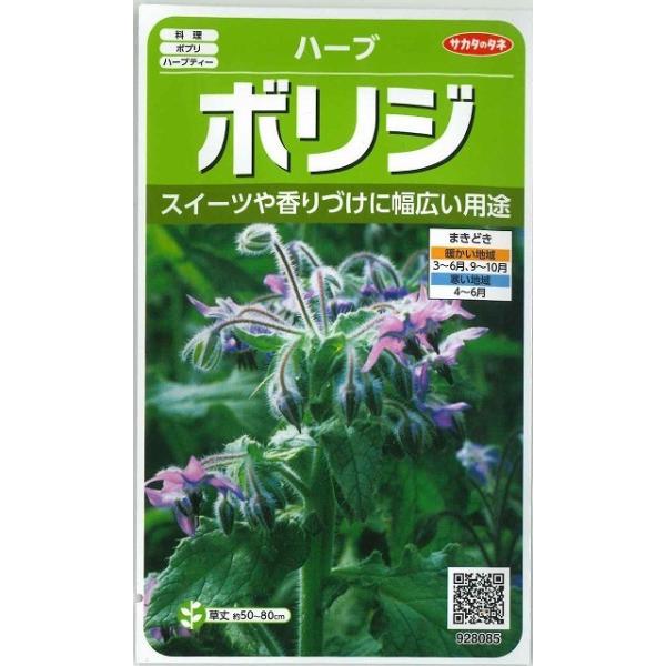 ハーブ　ボリジ青紫色の星型の花が魅力的種・苗・農業資材品揃え豊富！農家さん御用達のお店　グリーンロフトネモト