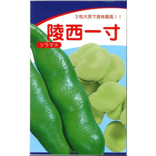 野菜種　そら豆　陵西一寸粒の揃いが良いです。種・苗・農業資材品揃え豊富！農家さん御用達のお店　グリーンロフトネモト