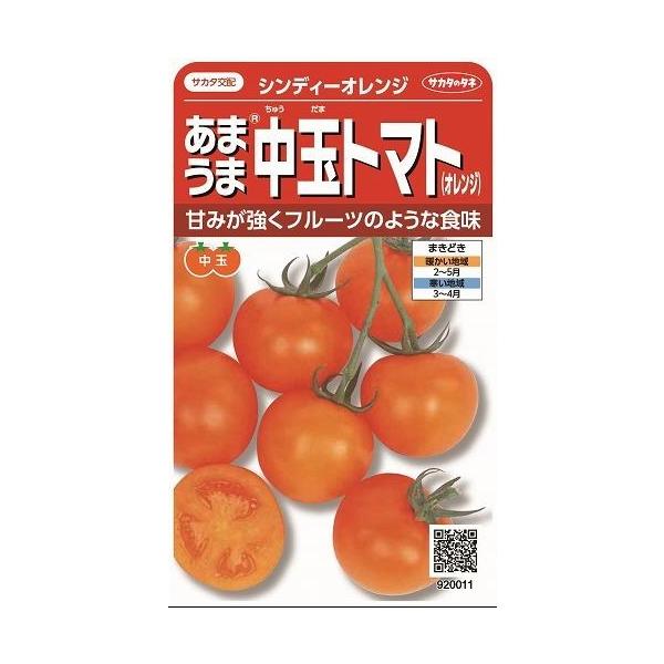 野菜種   中玉トマト　シンディオレンジ甘みが濃い！種・苗・農業資材品揃え豊富！農家さん御用達のお店　グリーンロフトネモト