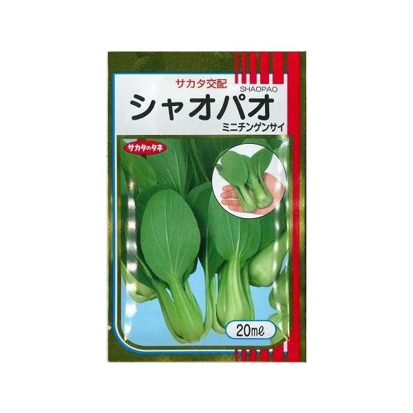 野菜種　中国野菜　シャオパオ（ミニチンゲンサイ）10ｃｍ〜15ｃｍほどの超小型チンゲンサイです。周年蒔けます。種・苗・農業資材品揃え豊富！農家さん御用達のお店　グリーンロフトネモト