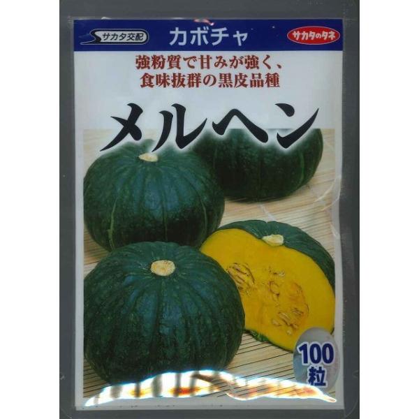 野菜種　かぼちゃ　メルヘンガッチリと育つ適応性の高いカボチャです。種・苗・農業資材品揃え豊富！農家さん御用達のお店　グリーンロフトネモト