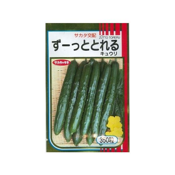 野菜種　キュウリ　病気に強く、猛暑に負けない露地栽培に最適なキュウリ！種・苗・農業資材品揃え豊富！農家さん御用達のお店　グリーンロフトネモト