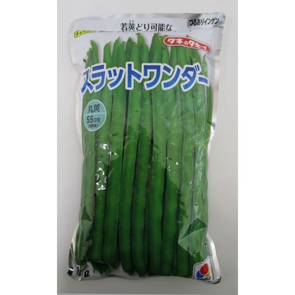 野菜種　いんげん　つるあり　スラットワンダー曲がりが少なく、莢ぞろいと秀品率が高いです。種・苗・農業資材品揃え豊富！農家さん御用達のお店　グリーンロフトネモト