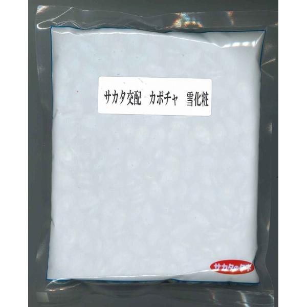 野菜種　かぼちゃ 雪化粧貯蔵性がよくおいしいかぼちゃです 種・苗・農業資材品揃え豊富！農家さん御用達のお店　グリーンロフトネモト