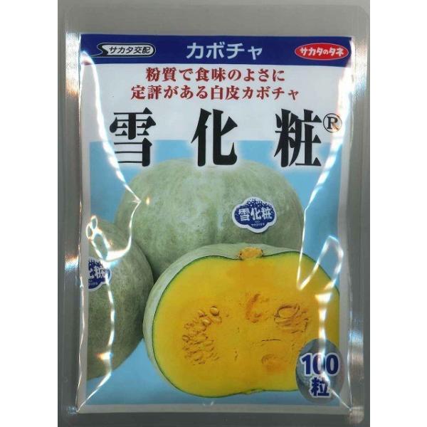 野菜種　かぼちゃ 雪化粧貯蔵性がよくおいしいかぼちゃです 種・苗・農業資材品揃え豊富！農家さん御用達のお店　グリーンロフトネモト