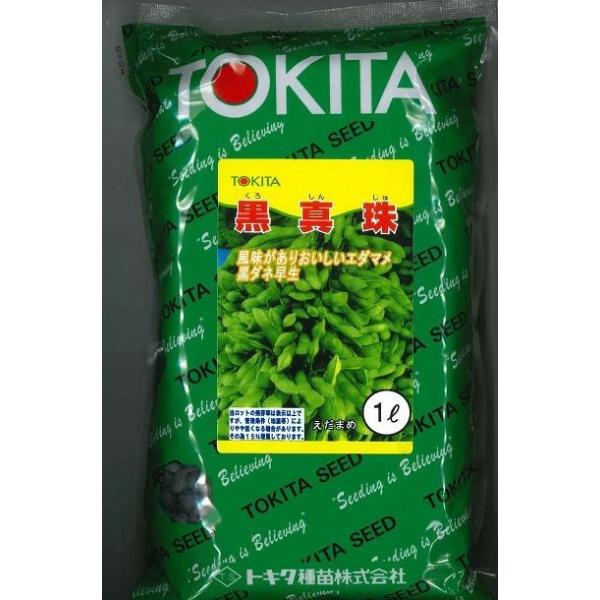 野菜種　枝豆　黒真珠　８０〜85日で収穫できる早生品種です。種・苗・農業資材品揃え豊富！農家さん御用達のお店　グリーンロフトネモト