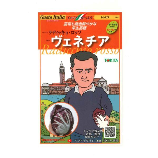 野菜種　イタリア野菜　ヴェネチア　トレビス　80粒直まきの適期栽培で、極早生の70日タイプ。種・苗・農業資材品揃え豊富！農家さん御用達のお店　グリーンロフトネモト