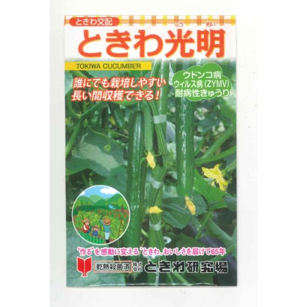 野菜種　きゅうり　ときわ光明適度な着果で果形が安定！種・苗・農業資材品揃え豊富！農家さん御用達のお店　グリーンロフトネモト