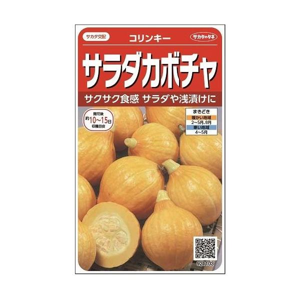 野菜種　かぼちゃ 果実はレモン色、皮ごと食べれる変わりかぼちゃです種・苗・農業資材品揃え豊富！農家さん御用達のお店　グリーンロフトネモト