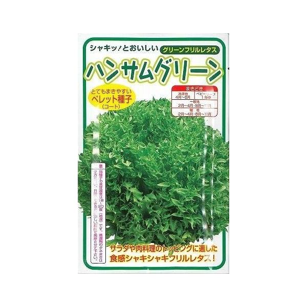 野菜種　レタス　ハンサムグリーンシャキッとおいしいグリーンフリルレタス！種・苗・農業資材品揃え豊富！農家さん御用達のお店　グリーンロフトネモト