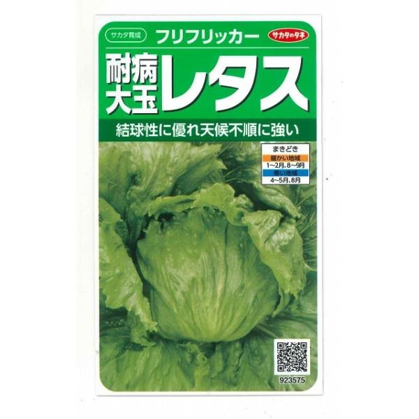 野菜種　耐病大玉レタス　第65回全日本野菜品種審査会　一等特別賞受賞！種・苗・農業資材品揃え豊富！農家さん御用達のお店　グリーンロフトネモト