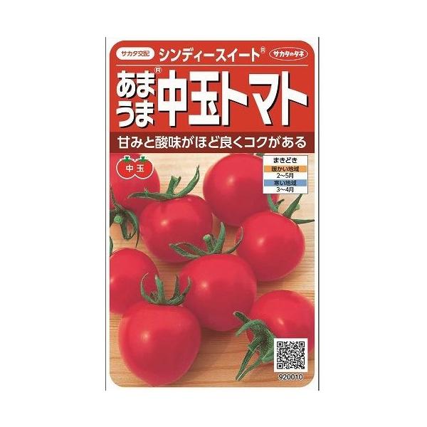 野菜種   中玉トマト　シンディスイート果実は約３５〜４０ｇ。一花房当たり約１０〜１５果程度着果する。種・苗・農業資材品揃え豊富！農家さん御用達のお店　グリーンロフトネモト