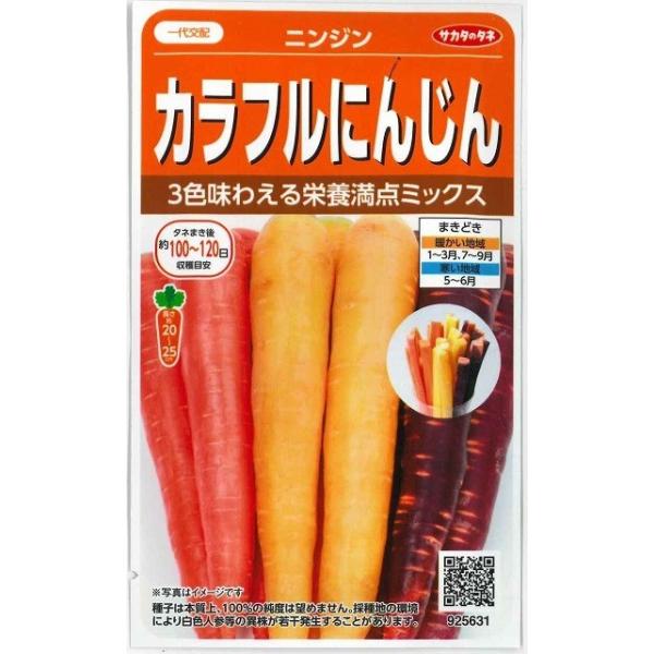 カラフルにんじん　小袋　サカタ交配種・苗・農業資材品揃え豊富！農家さん御用達のお店　グリーンロフトネモト