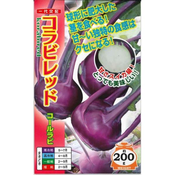 野菜種　コールラビ　コラビレッドコールラビのレッドです種・苗・農業資材品揃え豊富！農家さん御用達のお店　グリーンロフトネモト