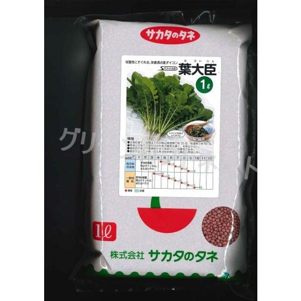 野菜種　葉ダイコン　葉大臣種・苗・農業資材品揃え豊富！農家さん御用達のお店　グリーンロフトネモト