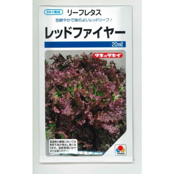 野菜種　リーフレタス　レッドファイヤー葉質はやわらかくて食味もすぐれ、有色野菜としての利用度は広いです。種・苗・農業資材品揃え豊富！農家さん御用達のお店　グリーンロフトネモト