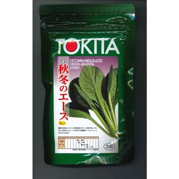 小松菜  秋冬のエース  低温期にじっくり生育する暮出し用の中早生コマツナ