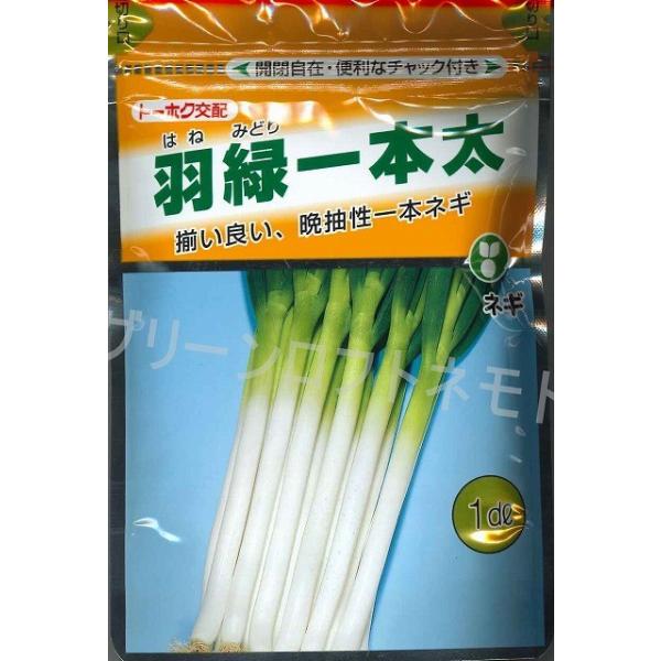 野菜種　ねぎ　羽緑一本太葱種・苗・農業資材品揃え豊富！農家さん御用達のお店　グリーンロフトネモト