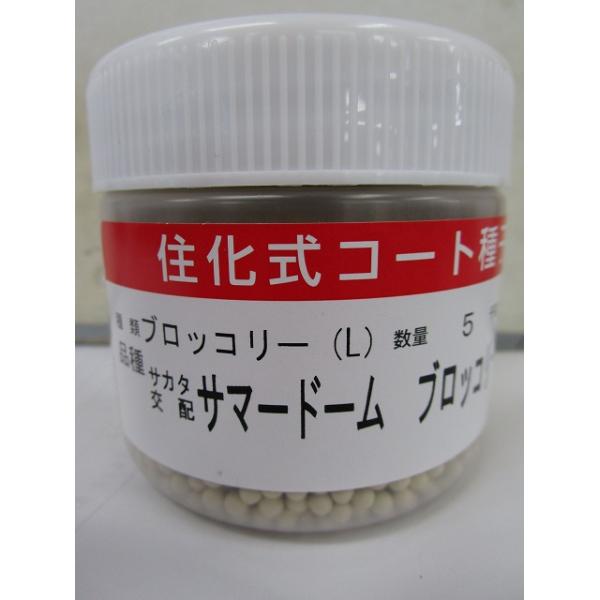 野菜種 ブロッコリー 　サマードーム種・苗・農業資材品揃え豊富！農家さん御用達のお店　グリーンロフトネモト