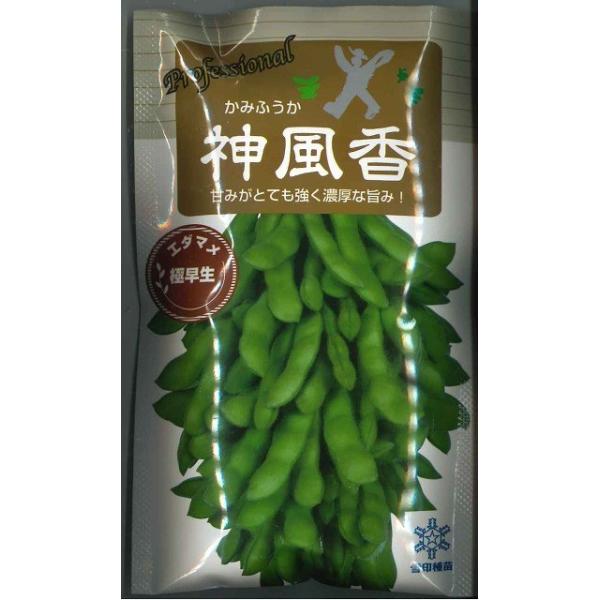枝豆種　　神風香　１Ｌ大莢で3粒莢・4粒莢の割合が高く、茶豆風味で食味も優れる極早生品種種・苗・農業資材品揃え豊富！農家さん御用達のお店　グリーンロフトネモト