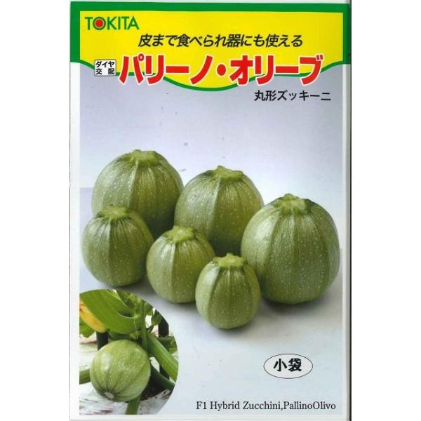 ズッキーニ　パリーノ・オリーブ　　ダイヤ交配かわいい丸形のズッキーニ種・苗・農業資材品揃え豊富！農家さん御用達のお店　グリーンロフトネモト