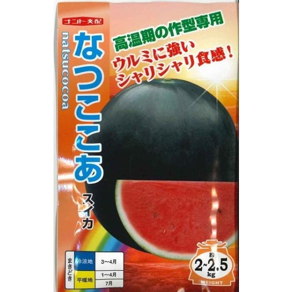 スイカ　なつここあ空洞が出ない！過肥大しない！種・苗・農業資材品揃え豊富！農家さん御用達のお店　グリーンロフトネモト