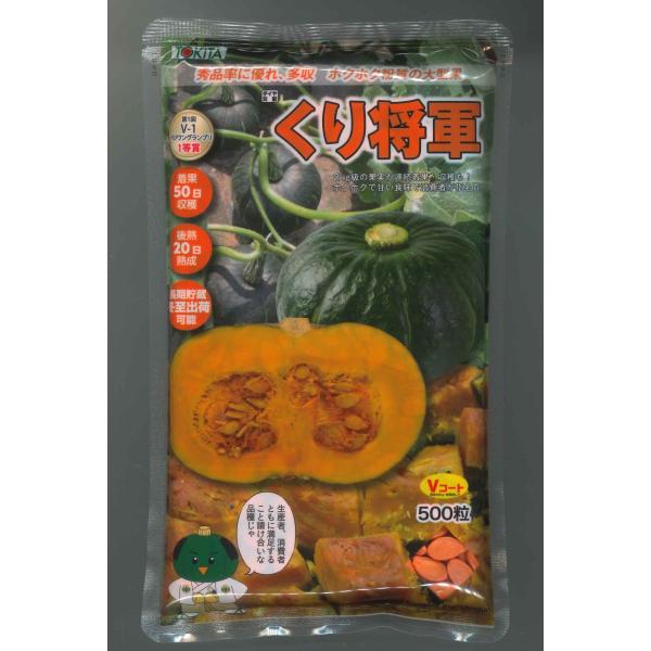 野菜種　かぼちゃ　くり将軍　第1回ベジワングランプリ1等特別賞受賞のホクホクした甘い食味種・苗・農業資材品揃え豊富！農家さん御用達のお店　グリーンロフトネモト