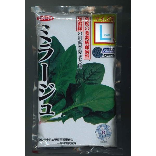 ほうれんそう　　 ミラージュ　Lサイズ　2万粒　サカタ交配