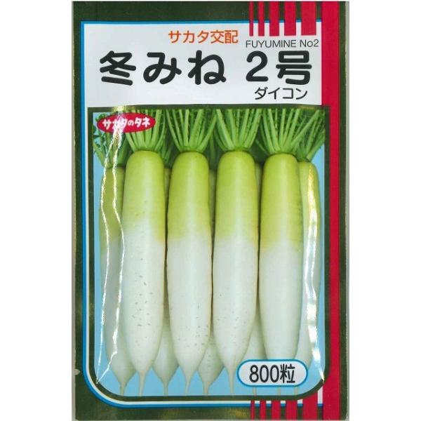 野菜種　大根　　冬みね2号抜群の耐寒性をもつ、2〜3月どり向け晩抽系 高品質種・苗・農業資材品揃え豊富！農家さん御用達のお店　グリーンロフトネモト