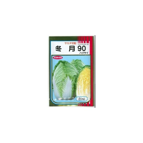 野菜種　白菜　冬月90　種・苗・農業資材品揃え豊富！農家さん御用達のお店　グリーンロフトネモト