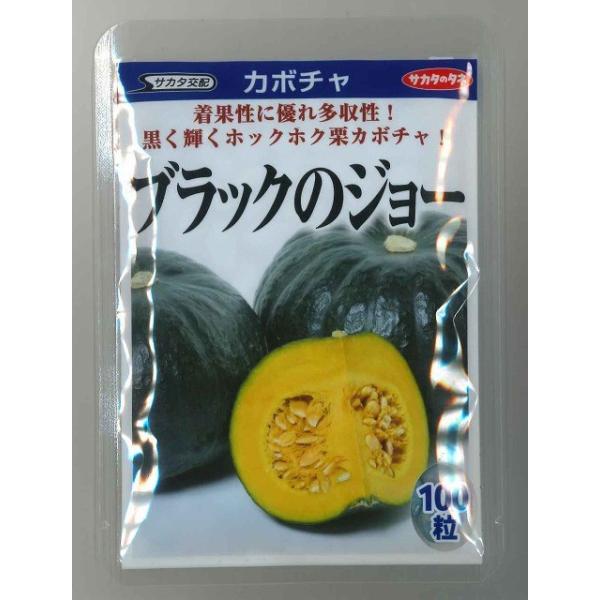 かぼちゃ　ブラックのジョー　　着果性に優れ多収性！種・苗・農業資材品揃え豊富！農家さん御用達のお店　グリーンロフトネモト