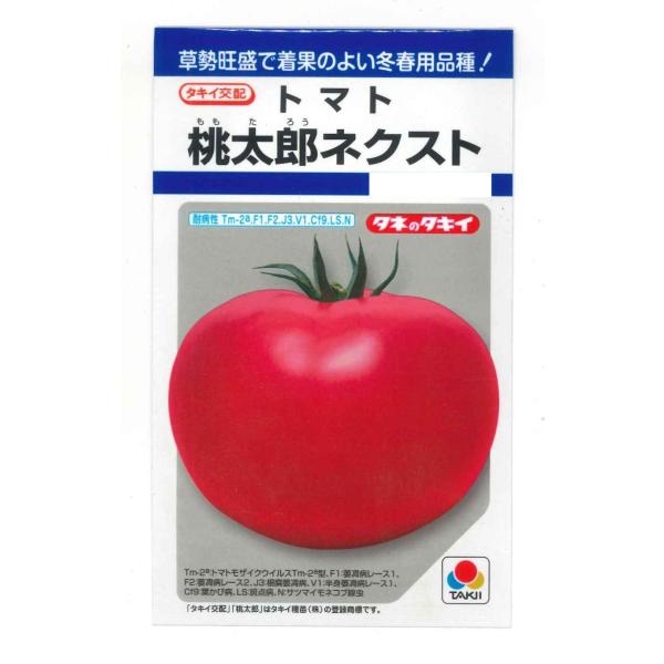 大玉トマト 桃太郎ネクスト 1000粒　タキイ種苗安定したスタミナで長期栽培に向く、大玉・多収の冬春用桃太郎！種・苗・農業資材品揃え豊富！農家さん御用達のお店　グリーンロフトネモト
