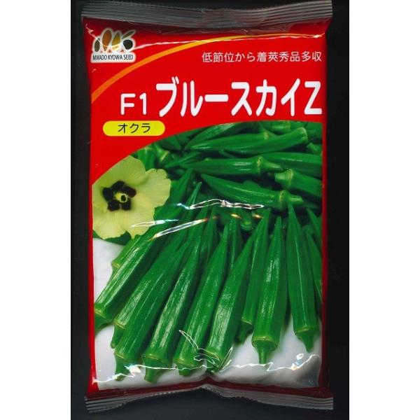 野菜種　オクラ　ブルースカイZ莢の突起が少なく、肌が美しいへこみの少ない正五角形。種・苗・農業資材品揃え豊富！農家さん御用達のお店　グリーンロフトネモト