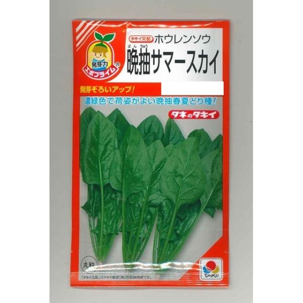 ほうれん草　晩抽サマースカイ　立性で作業性のよい濃緑晩抽種！種・苗・農業資材品揃え豊富！農家さん御用達のお店　グリーンロフトネモト