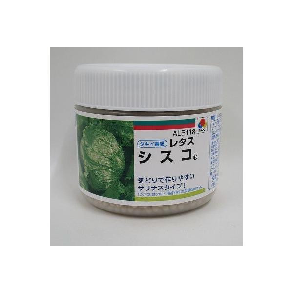 野菜種　レタス　シスコ葉肉は厚くて日もちにすぐれ、歯切れがよい。種・苗・農業資材品揃え豊富！農家さん御用達のお店　グリーンロフトネモト