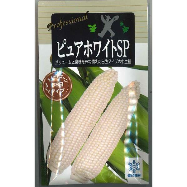 野菜種  とうもろこし　ピュアホワイトSPボリュームと食味を兼ね備えた白色タイプの中生種種・苗・農業資材品揃え豊富！農家さん御用達のお店　グリーンロフトネモト
