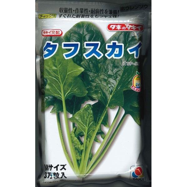 ほうれんそう タフスカイ収量性・作業性・耐病性を兼備！　
