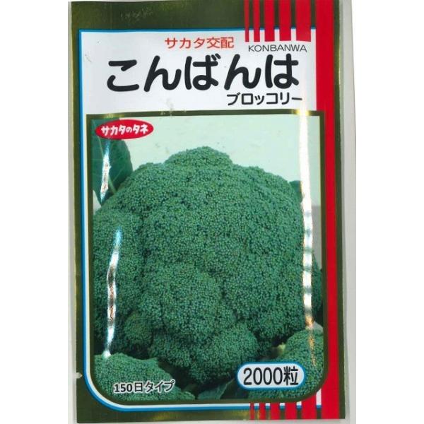 野菜種　ブロッコリー こんばんはアントシアンフリーで低温伸長性に優れる晩生品種種・苗・農業資材品揃え豊富！農家さん御用達のお店　グリーンロフトネモト