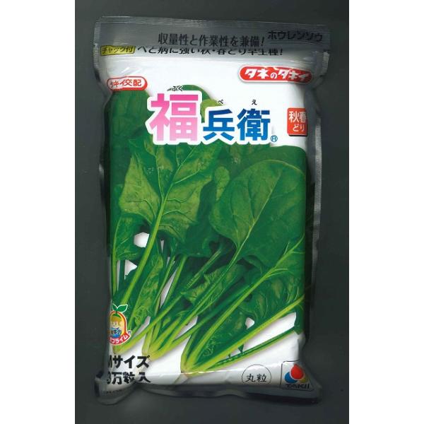 ほうれんそう 福兵衛収量性と作業性を兼備！べと病に強い秋・春どり早生種！　