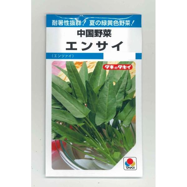 中国野菜　エンサイ耐暑性抜群！高温期の栽培が容易！種・苗・農業資材品揃え豊富！農家さん御用達のお店　グリーンロフトネモト